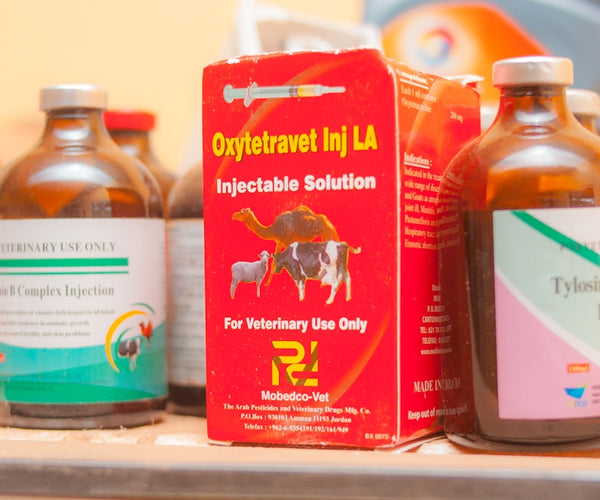 Understanding Ferumoxytol Injection for Iron Replacement Therapy in the ...