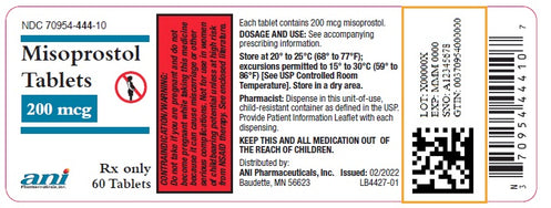 Misoprostol 200 mcg: Gastric & Reproductive Health Aid — Mountainside ...