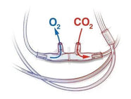 Nasal Cannula ETCO2 Sampling Simultaneous O2 CO2 & O2 Lines ...
