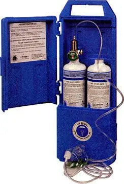 Portable Emergency Oxygen Tank Kit (Twin Pack) — Mountainside Medical ...
