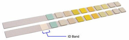 Bayer 2161 Multistix 10 SG Reagent Strips 100/Bottle — Mountainside ...
