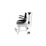 Digital Portable Chair Scale with 6V Rechargeable Battery & Charger ...