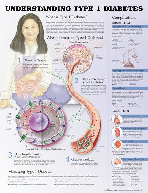 Understanding Type 1 Diabetes Poster 20 x 26 — Mountainside Medical ...
